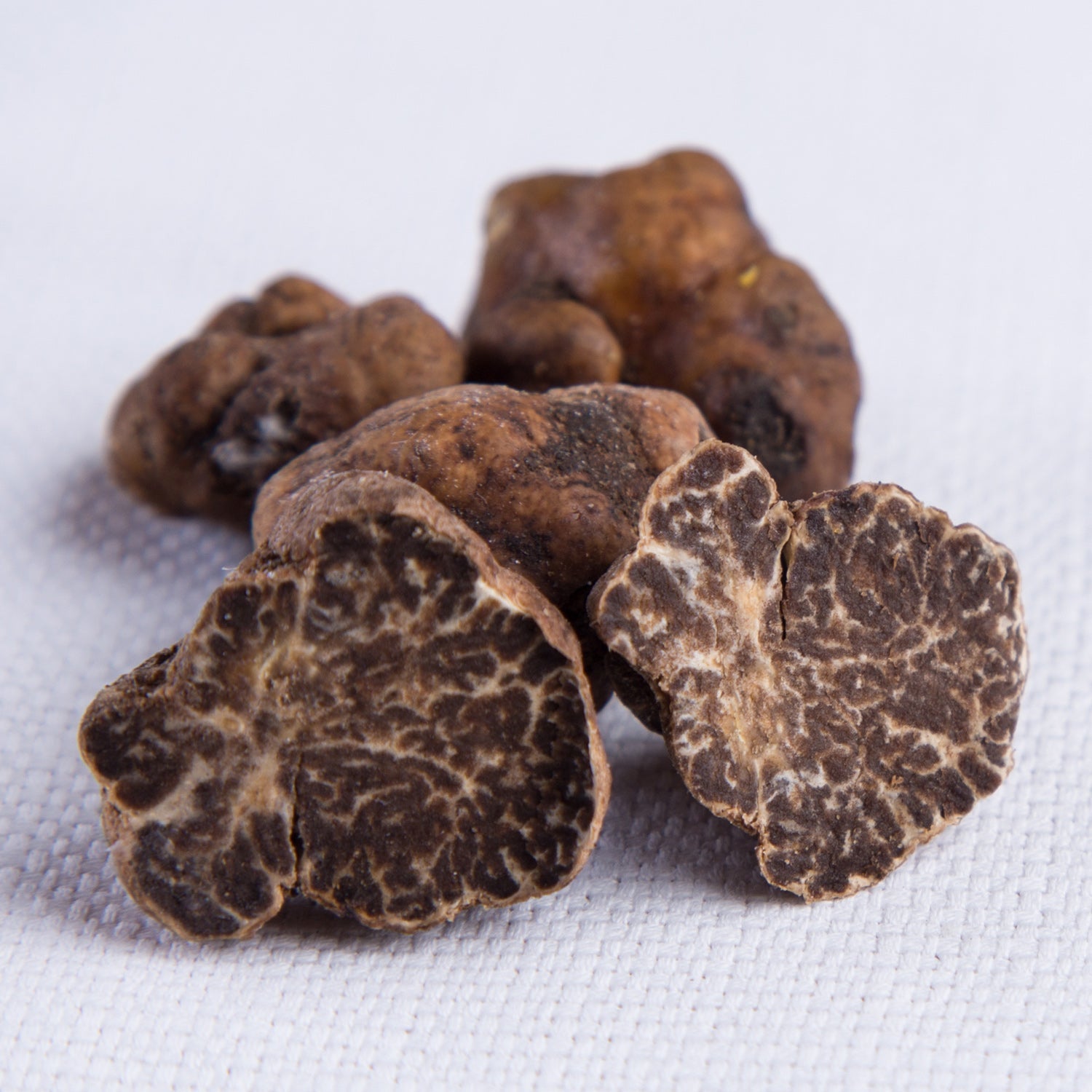 Truffle Tree | Territorial Seed
