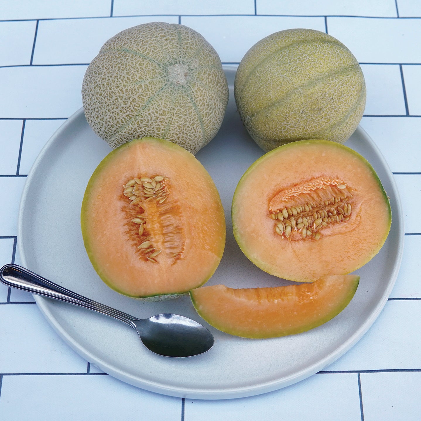 Minnesota Midget Melon Seed | ORGANIC SEED / 1/2 gram | Territorial Seed