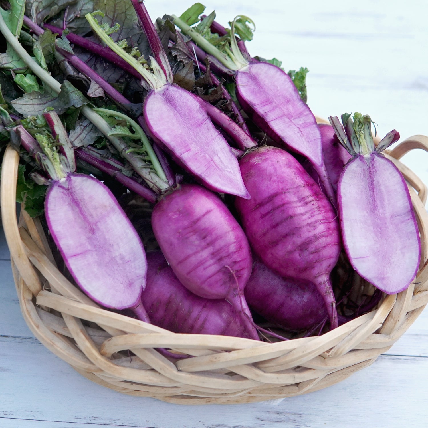 Sweet Baby Radish Seed | SEED / 3 grams | Territorial Seed