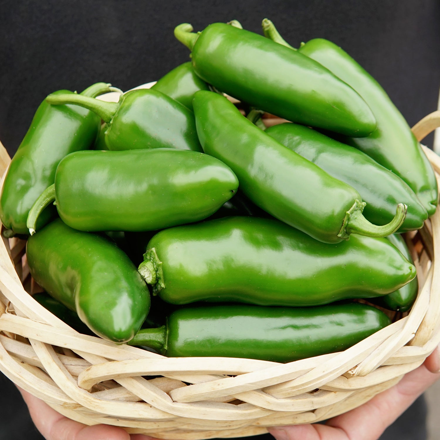 Megatron Pepper | SEED / 25 seeds | Territorial Seed