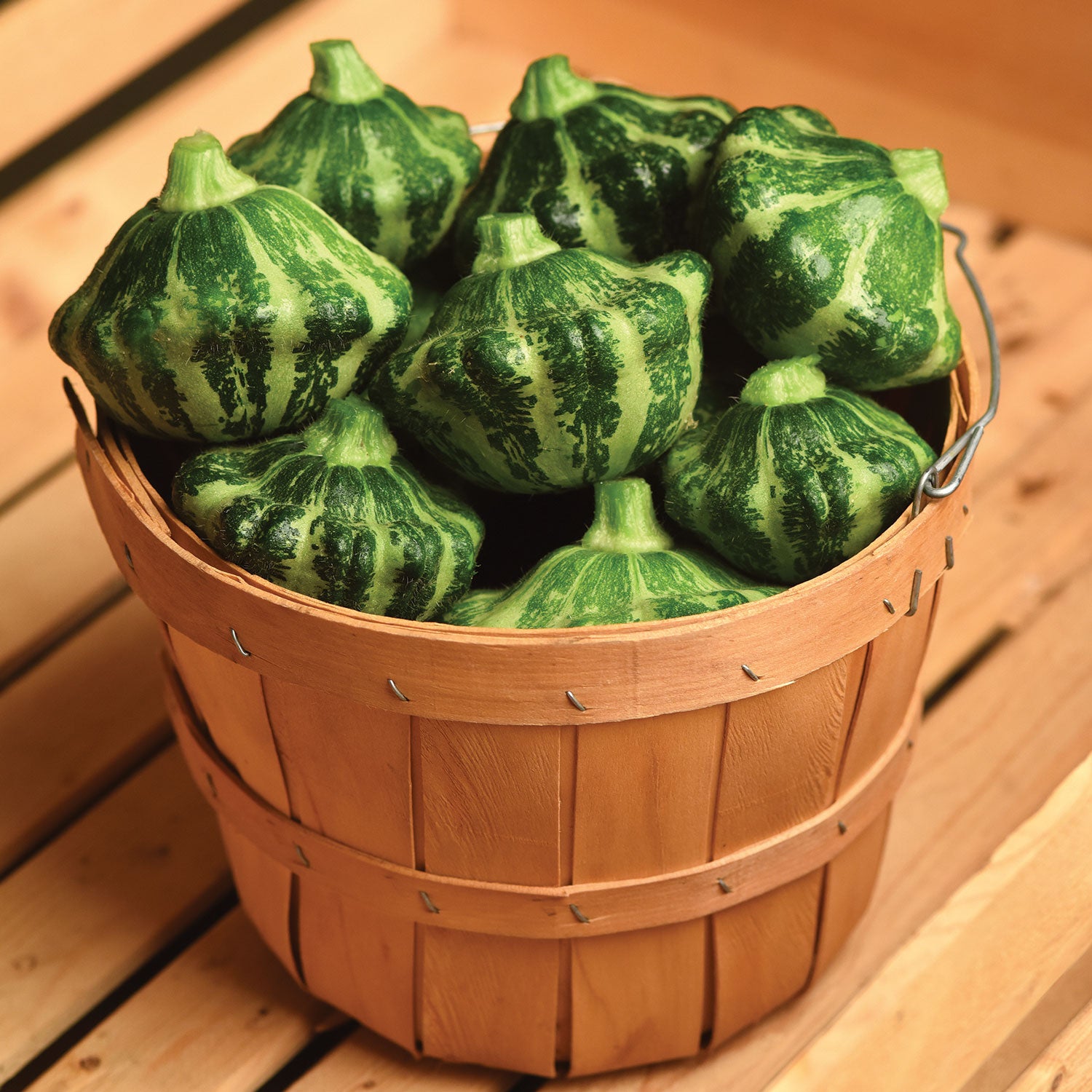 GREEN LIGHTNING™ | SEED / 25 seeds | Territorial Seed