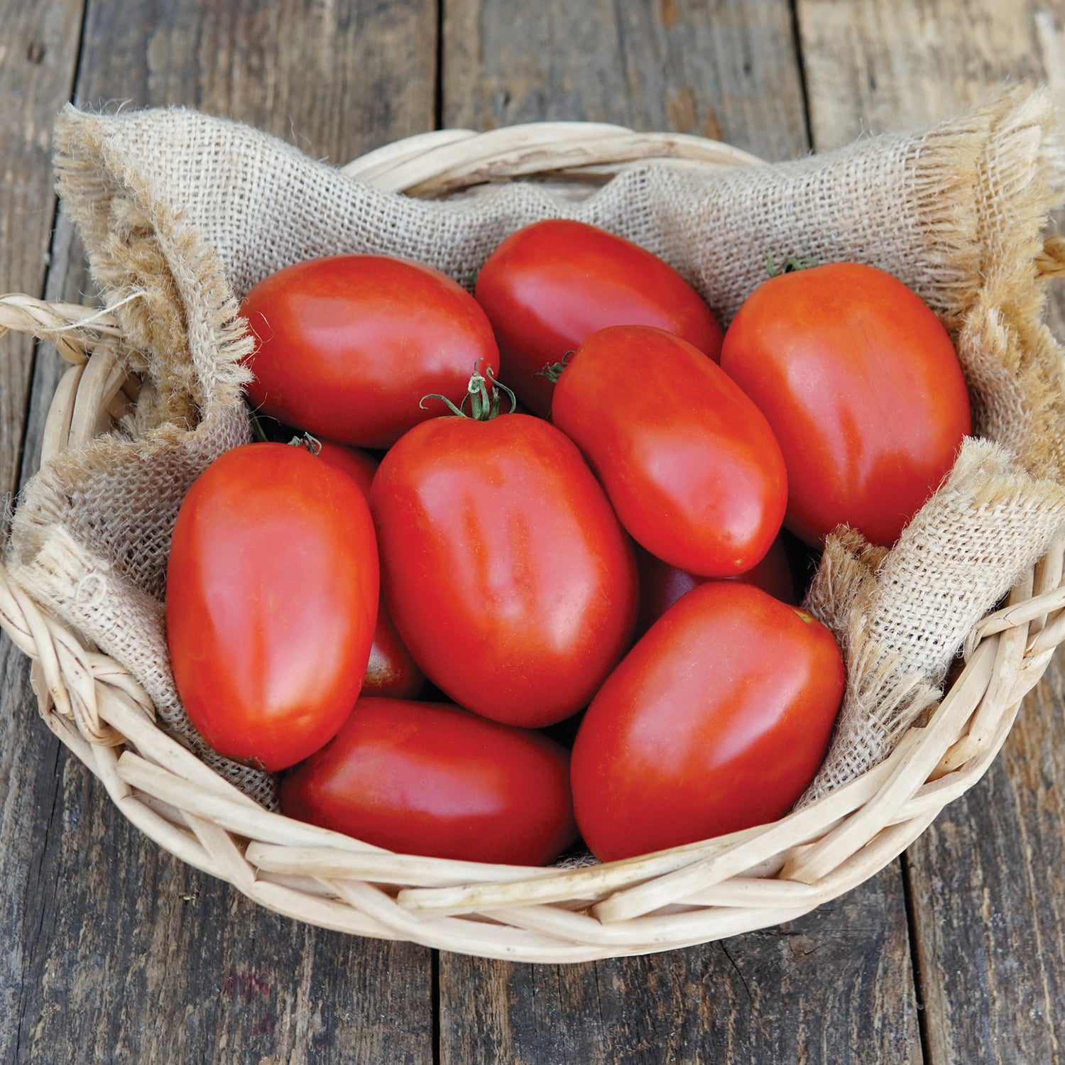 Kuzco Tomato Seed & Transplant | Well-adapted determinate saladette ...