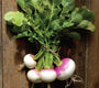 Sakura Tomato Seed | ORGANIC SEED / 10 seeds | Territorial Seed