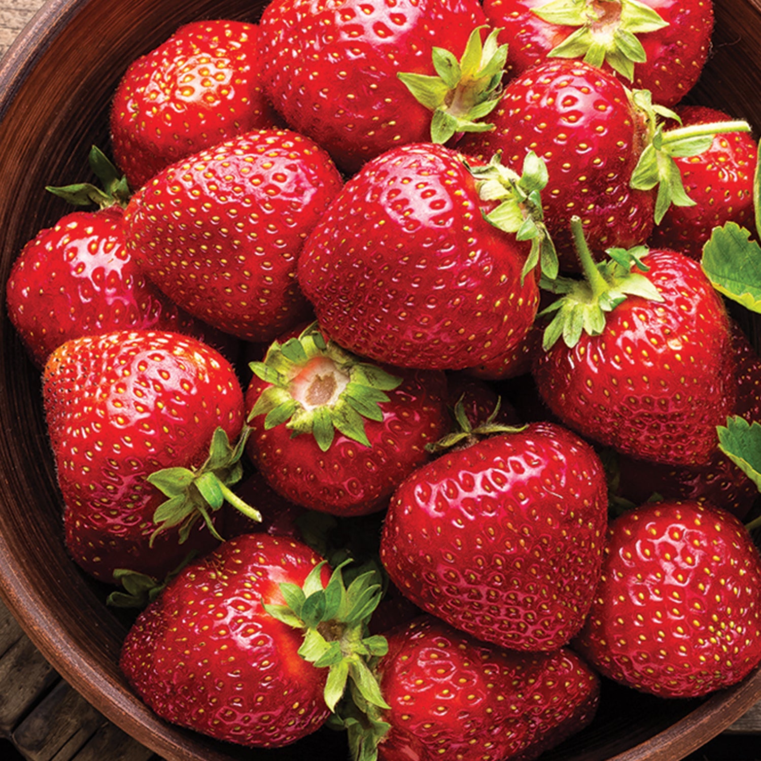 Evie-2 Stawberry Plants | Day-neutral, Everbearing Strawberry Plant ...
