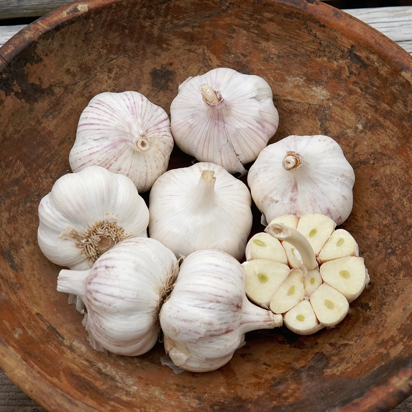 Vietnamese Red Garlic Organic Garlic | GARLIC / 1 pound | Territorial Seed