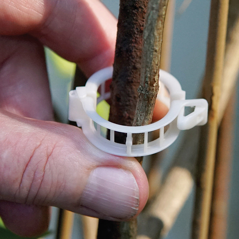 Compostable Trellis Clips | Territorial Seed