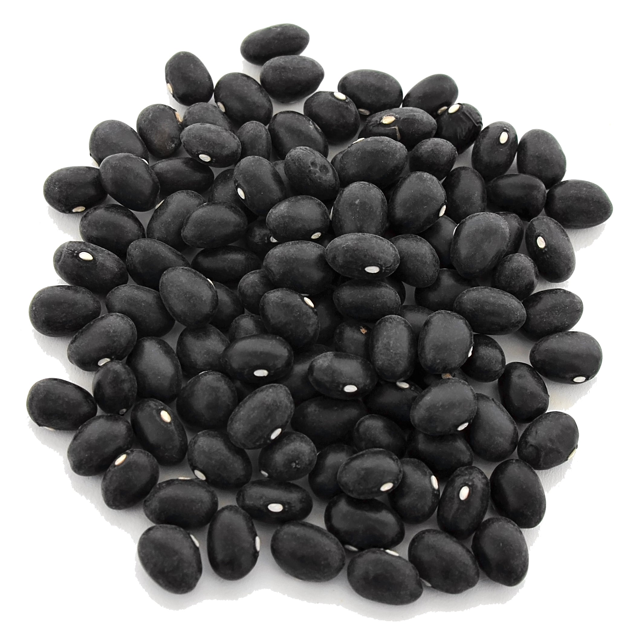 Black Coco Bean Seed | ORGANIC SEED / 1 ounce | Territorial Seed