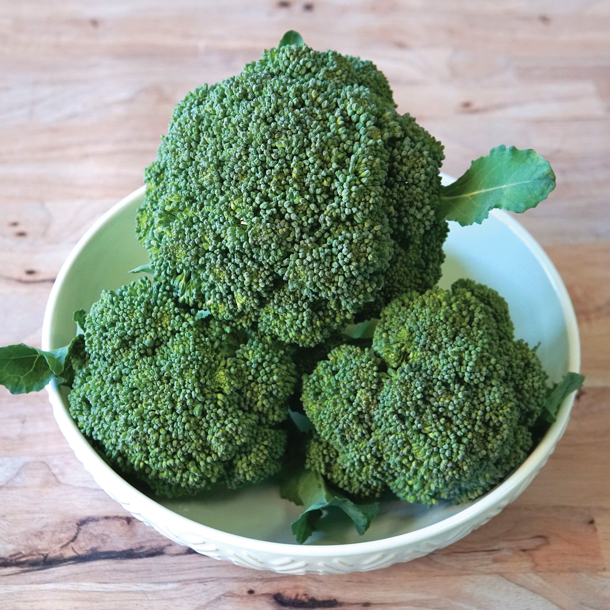 Gemini Broccoli seed | SEED / 1/4 gram | Territorial Seed