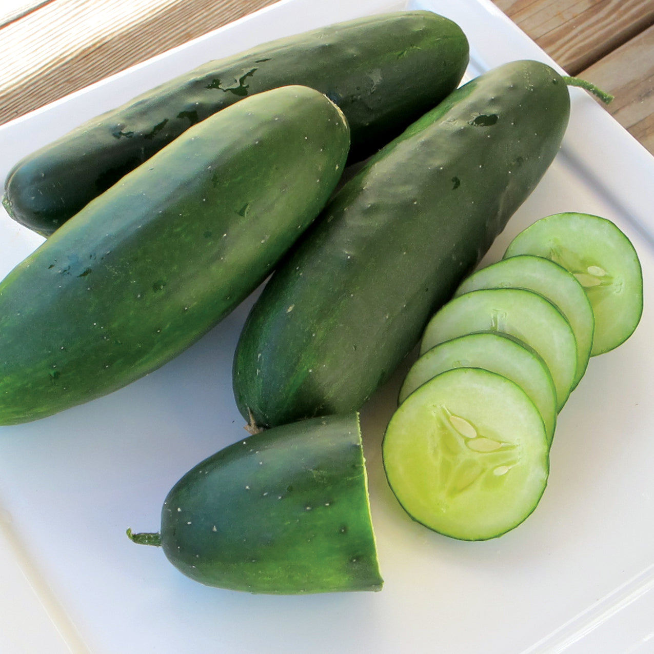 Raider Cucumber Seed | SEED / 150 seeds | Territorial Seed