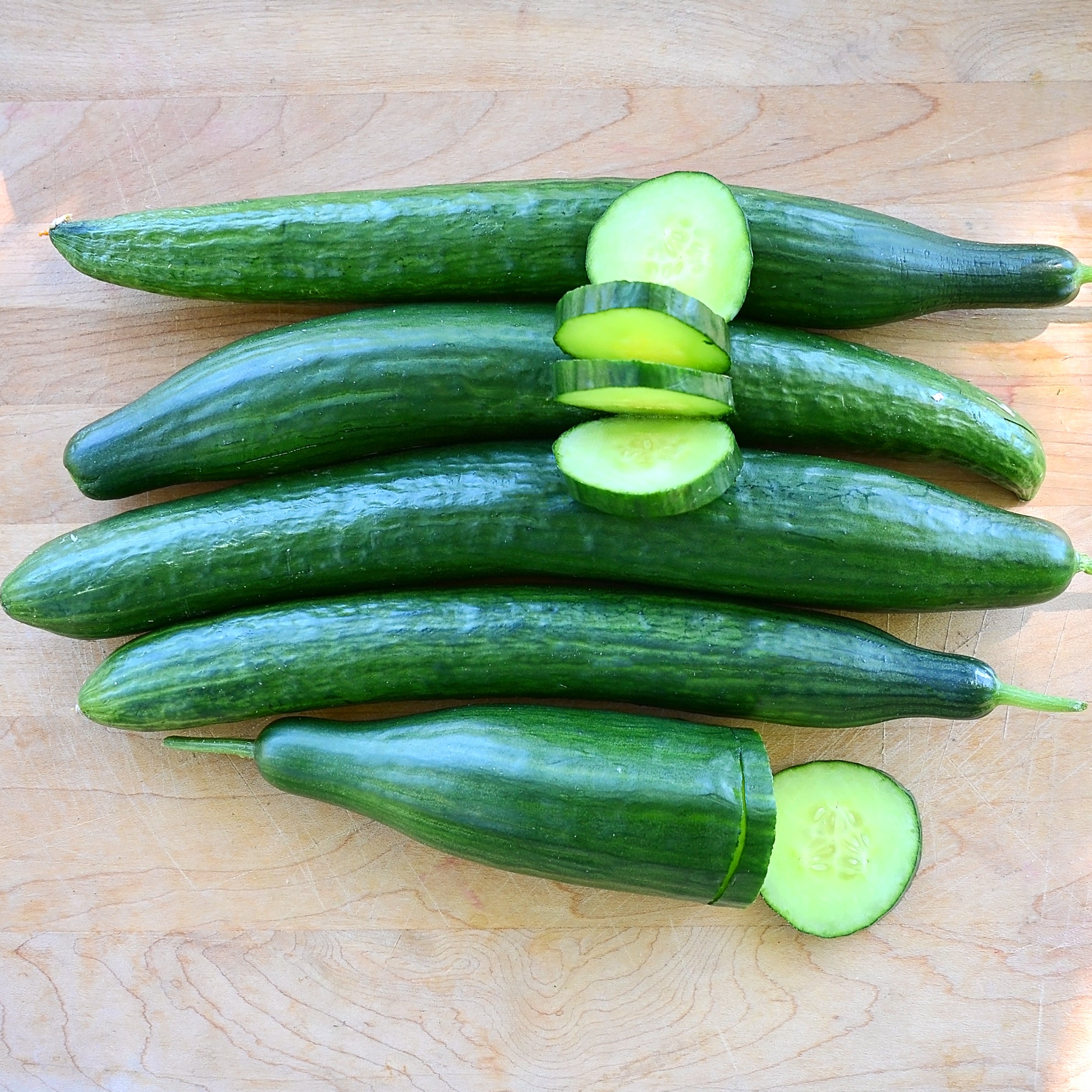 Bella Cucumber Seed | SEED / 10 seeds | Territorial Seed