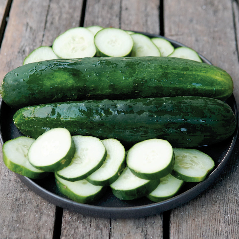 Green 18 Organic Cucumber | ORGANIC SEED / 10 seeds | Territorial Seed