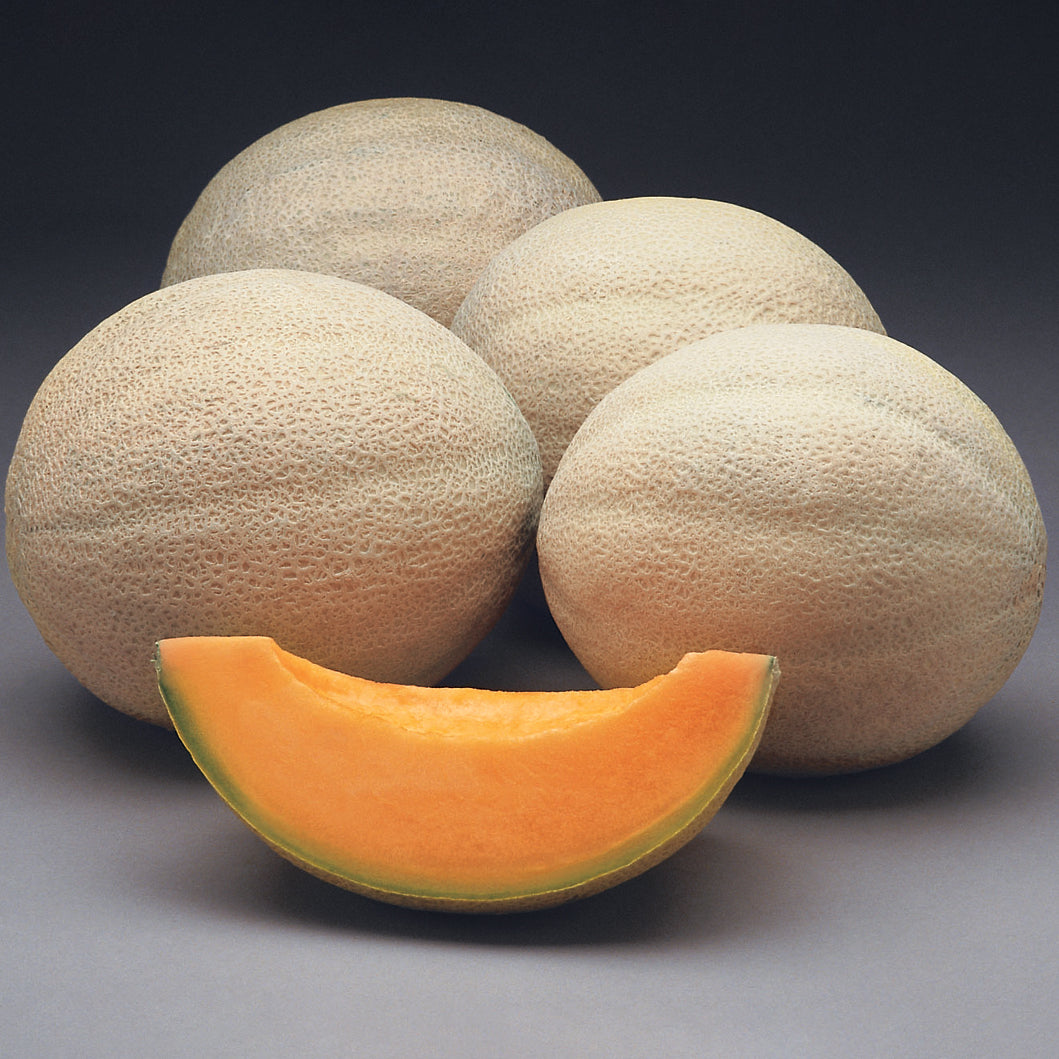 Athena Melon Seed | SEED / 1/2 gram | Territorial Seed