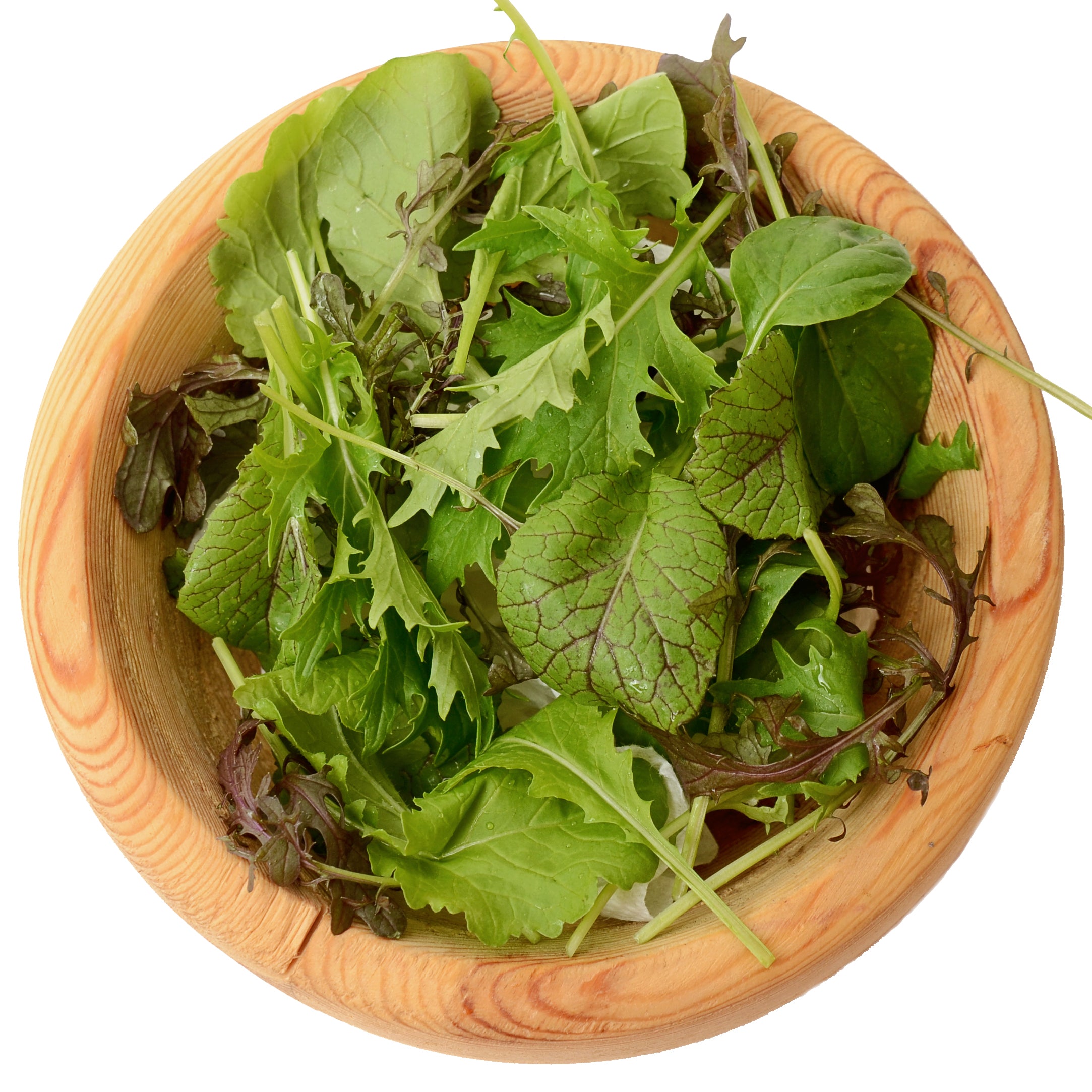 Organic Mustard Mix Mustard Seed | ORGANIC SEED / 4 grams | Territorial ...