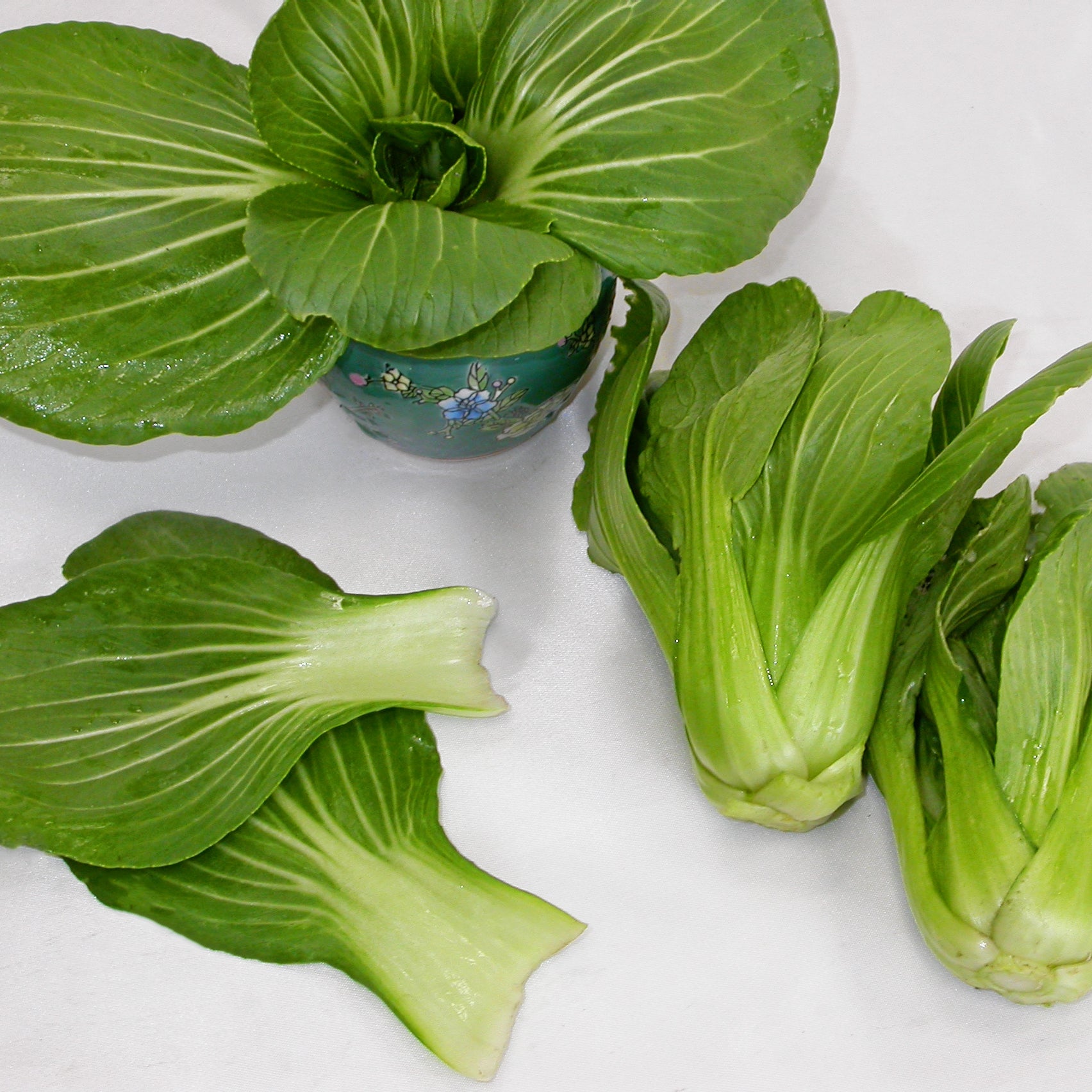 Ching-Chiang Pak Choi Seed | SEED / 1 gram | Territorial Seed
