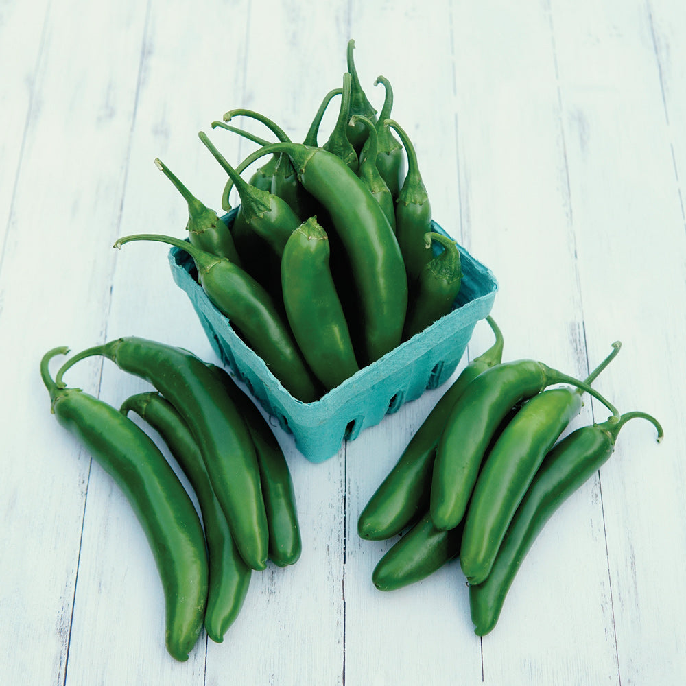 Pathfinder Pepper | SEED / 25 seeds | Territorial Seed