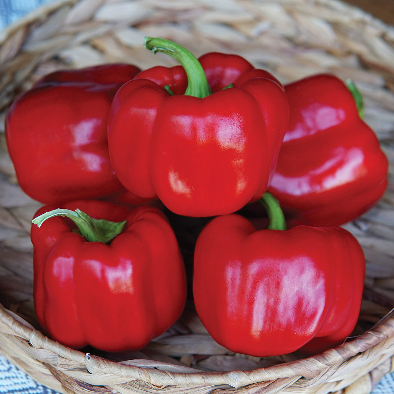 Double Up bell pepper seed | SEED / 25 seeds | Territorial Seed