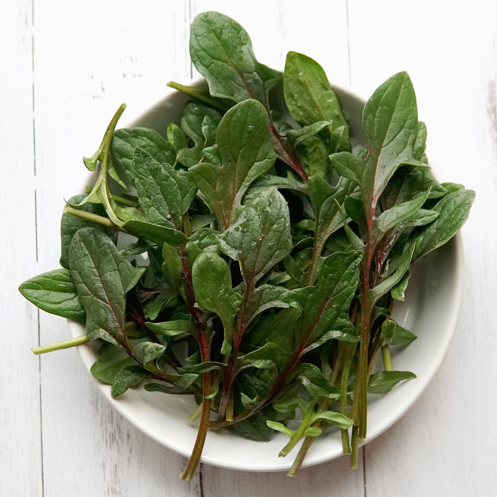 Red Snapper Baby Leaf Spinach - Territorial Seed Company | SEED / 5 ...