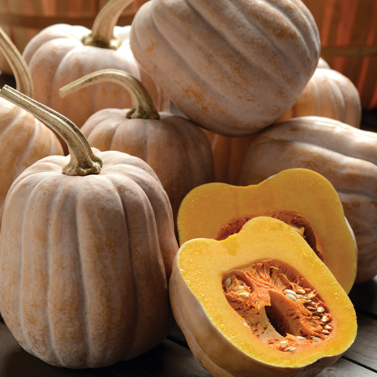 Autumn Frost Winter Squash Seed | ORGANIC SEED / 3 grams | Territorial Seed