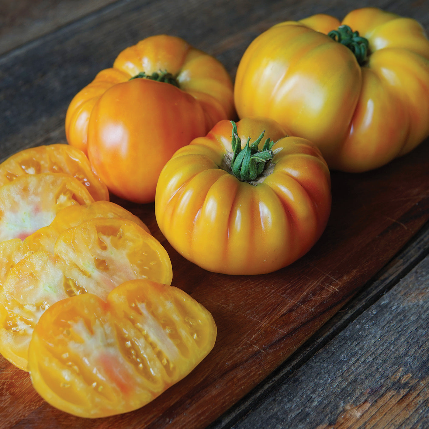 Buffalosun Tomato Seed | Territorial Seed