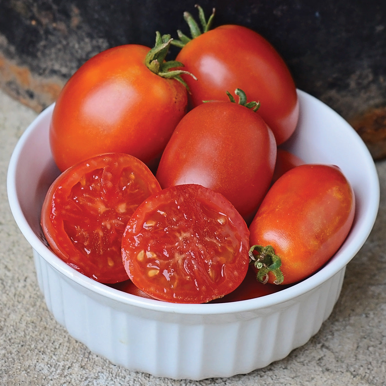 Little Napoli Tomato Seed | SEED / 100 seeds | Territorial Seed