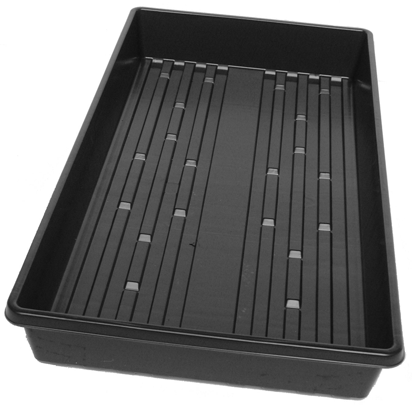 Utility Flat | Territorial Seed