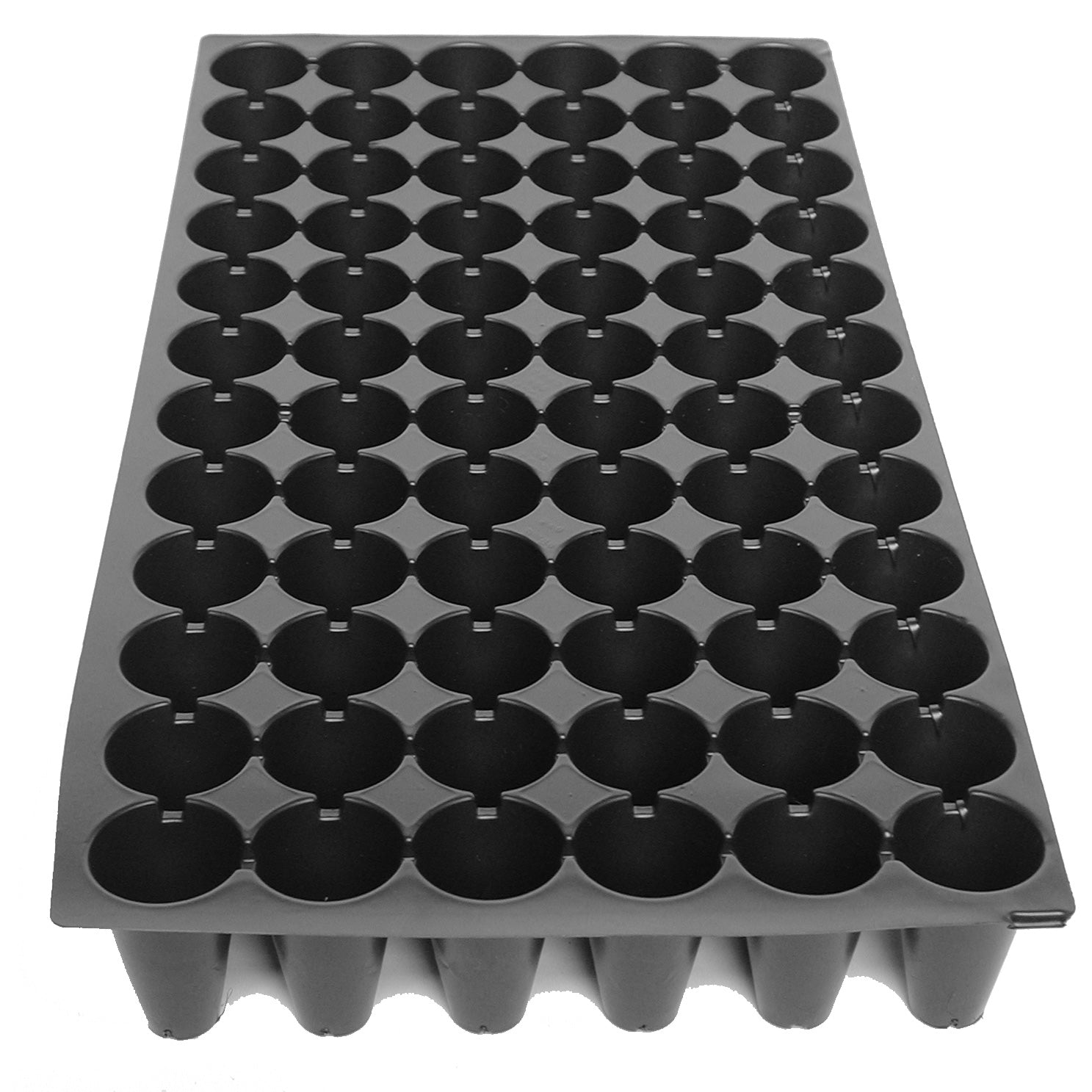 72 Cell Insert | Territorial Seed