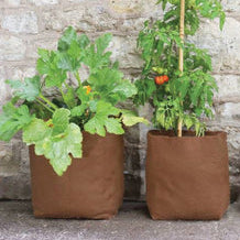 Hemp Fabric Planter Pot | Territorial Seed